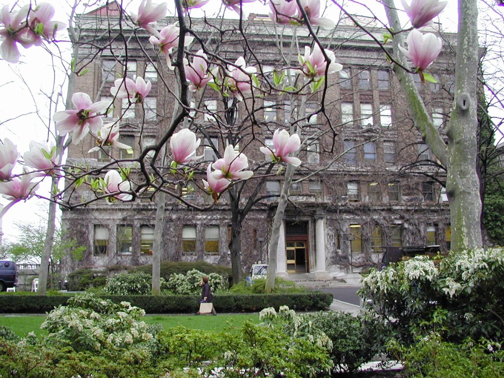 The Rockefeller University on Foursquare